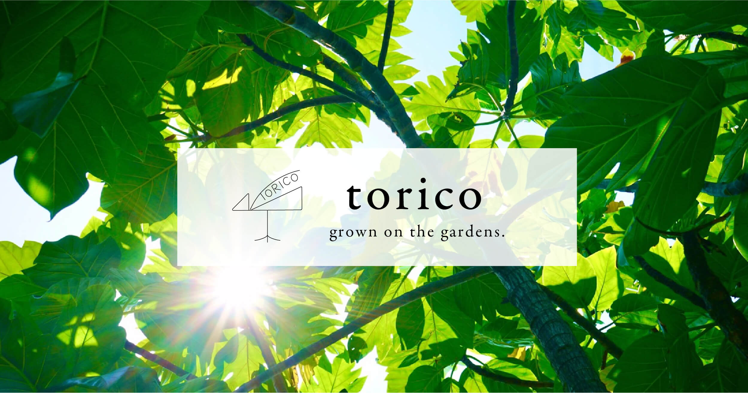 Grown on the gardens - torico
